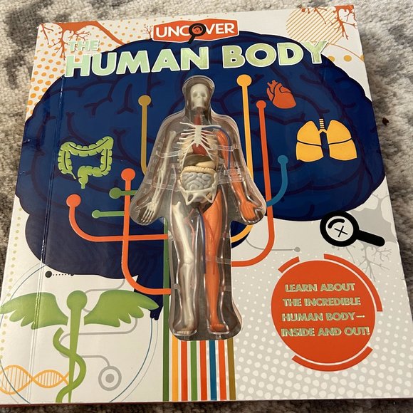 Silver Dolphin | Toys | Scholastic Uncover The Human Body Book Layered ...
